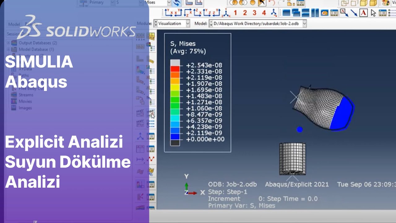 SIMULIA Abaqus-Suyun SPH Methodu ile Dökülme Analizi - TEKYAZ Blog